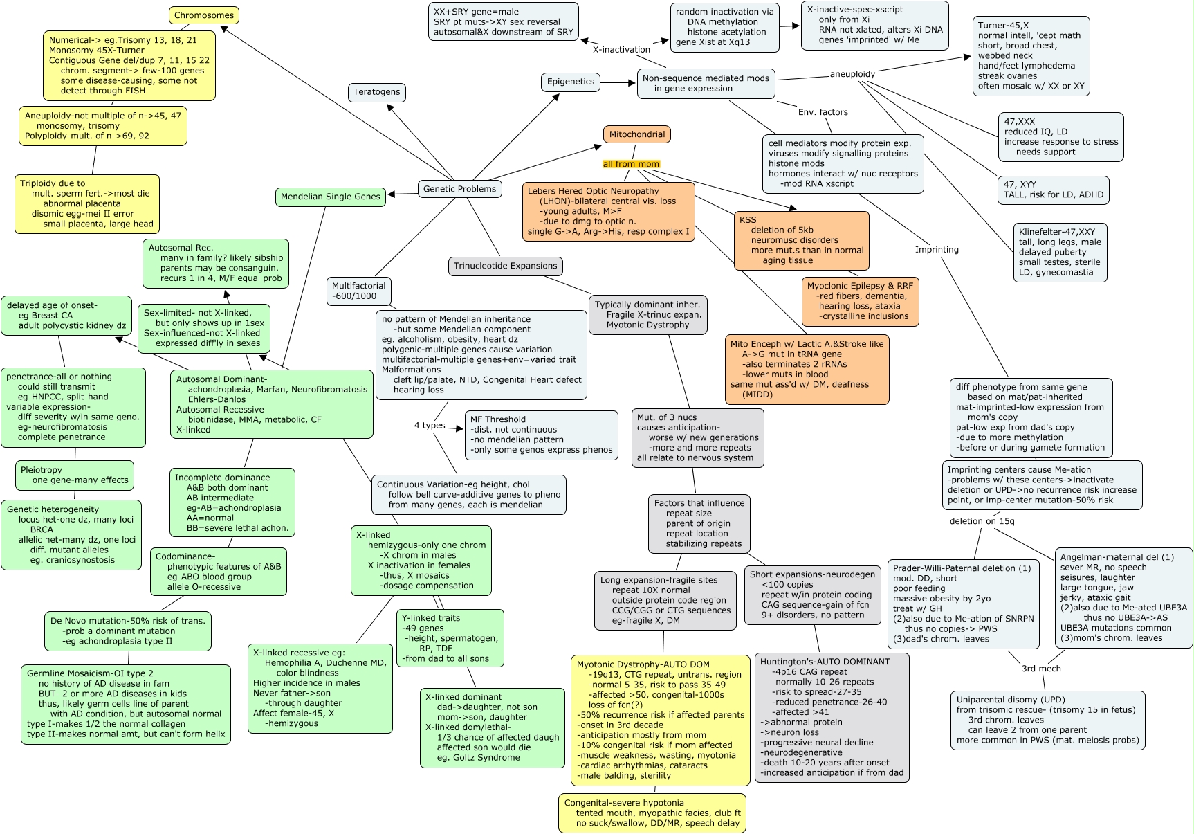 Genetic Problems Outline